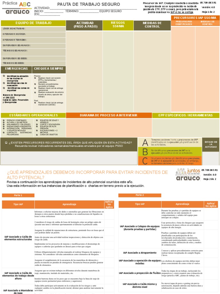 05.709.083_R1 FORMULARIO PAUTA DE TRABAJO SEGURO (PASO A PASO) nueva ...