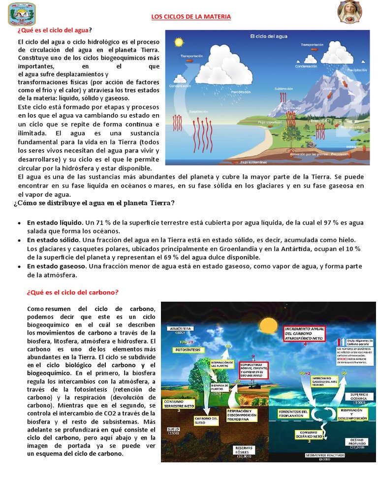 Ciclos Biogeoquímicos en la Tierra | PDF