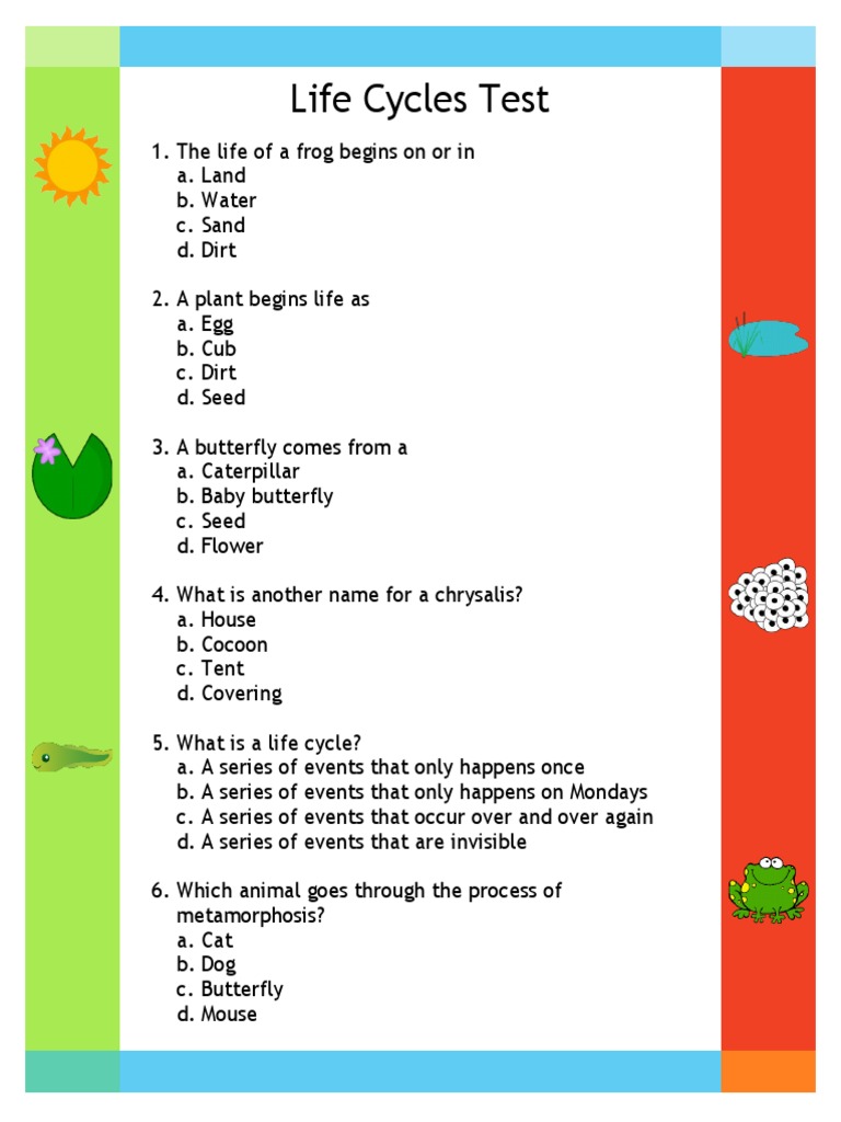 Life Cycles Test | PDF