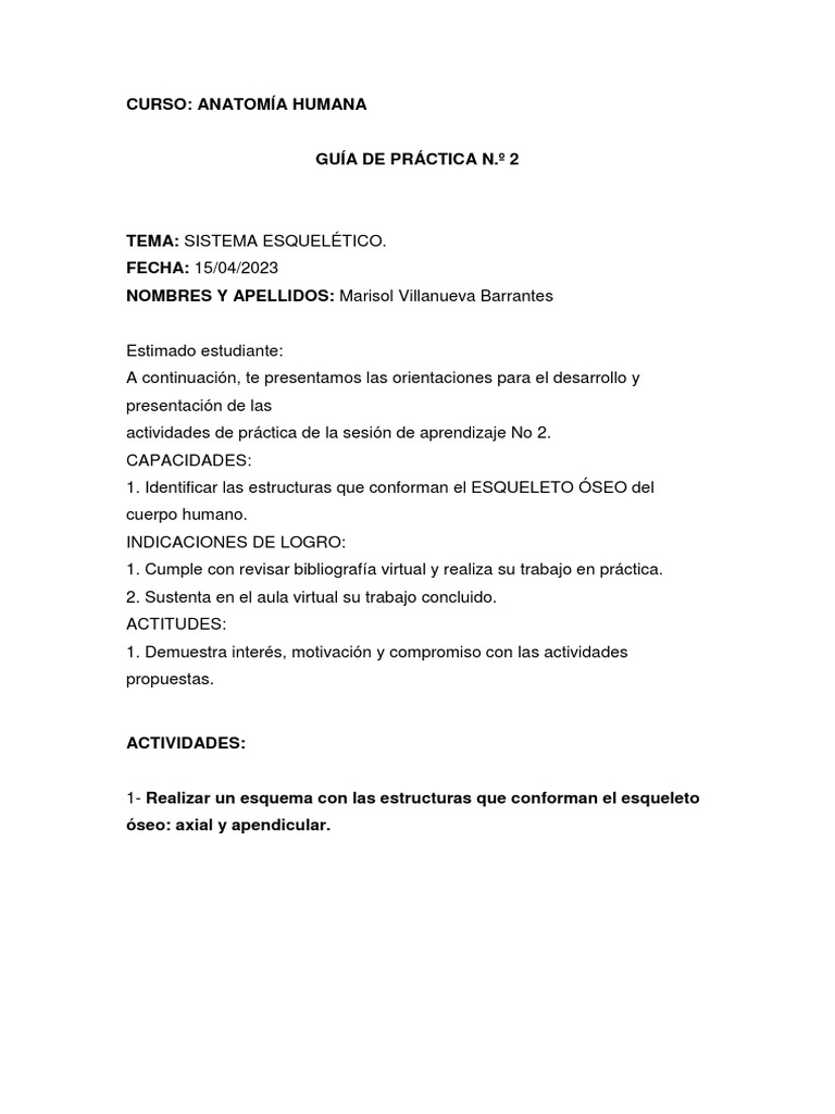 Esqueleto Oseo Pdf Esqueleto La Columna Vertebral