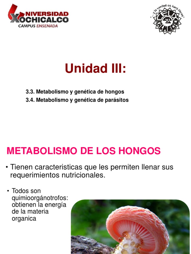 Clase 4 Hongos y Parasitos | PDF