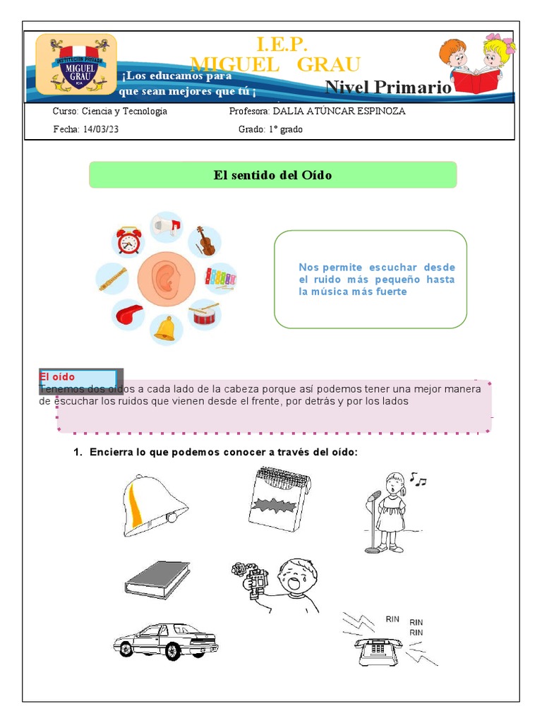 Actividades sobre el sentido del oído | PDF