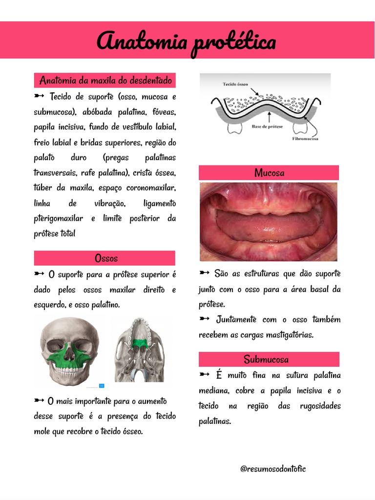 Anatomia Protética | PDF | Língua | Boca