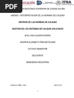 Norma ISO 9011 | PDF