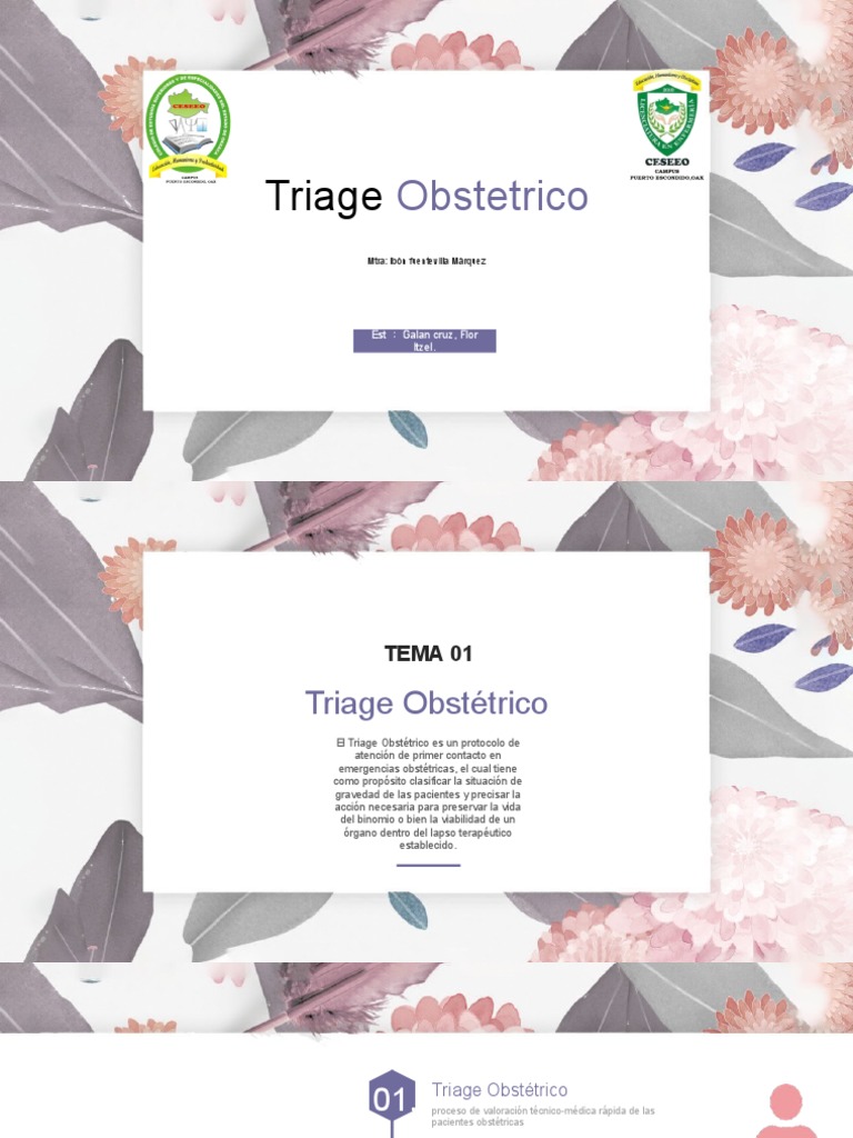Triage Obstetrico. Galan Cruz Flor Itzel | PDF | Septicemia | Medicamentos con receta