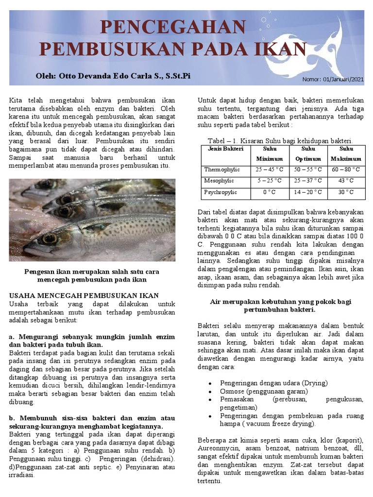 Pecegahan Pembusukan Pada Ikan | PDF