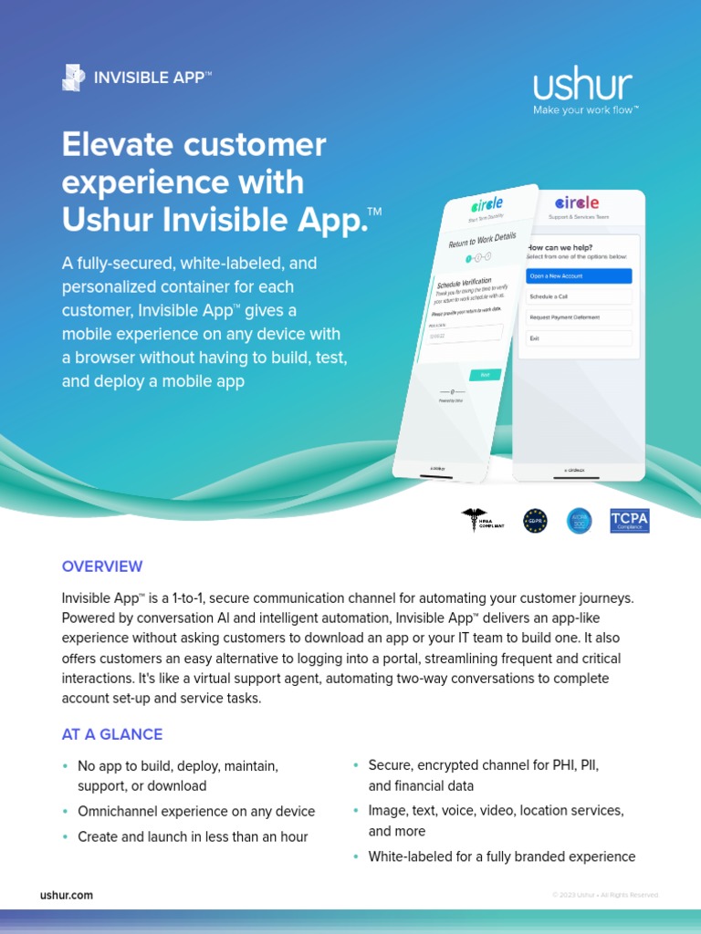 Invisible App - One Pager 2023 - WEB | PDF | Customer Experience ...