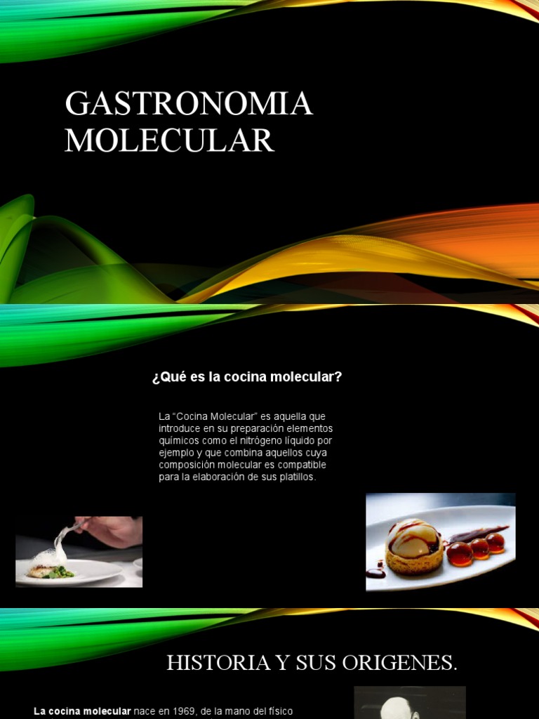 Gastronomia Molecular | PDF