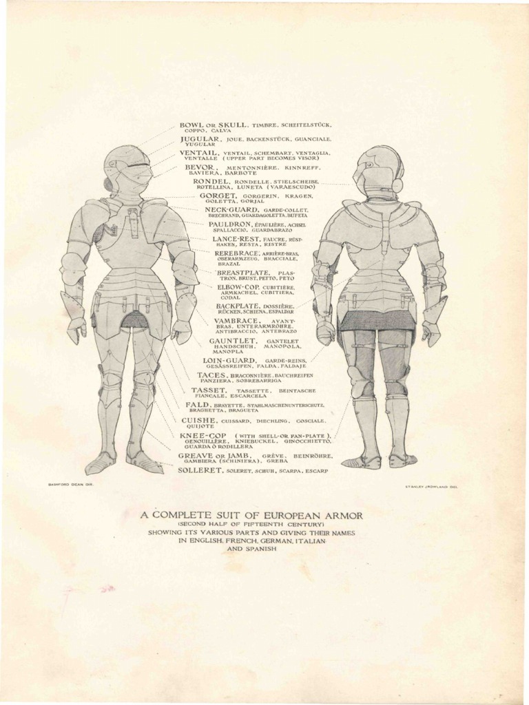 European Armor Parts and Names | PDF | Equipment | Human Body