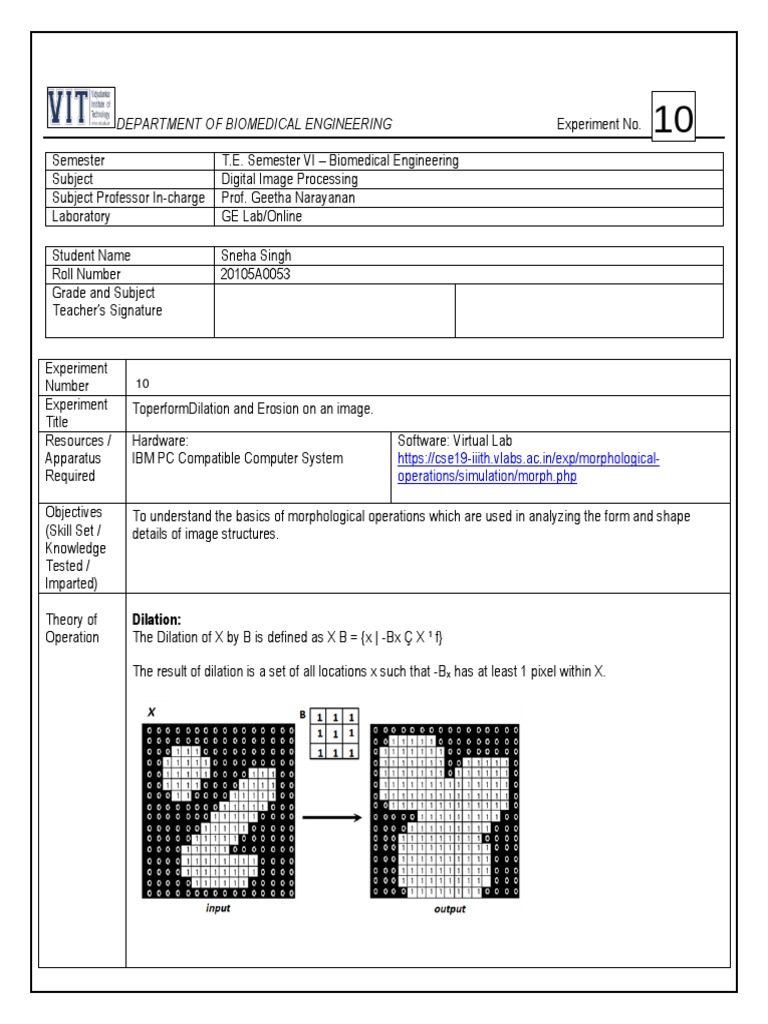 Morphology Project Report | PDF