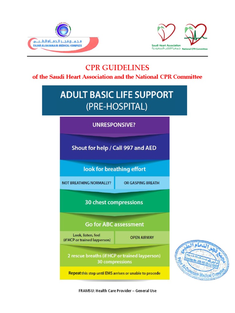 CPR Guidelines - Adult BLS Pre-Hospital | PDF