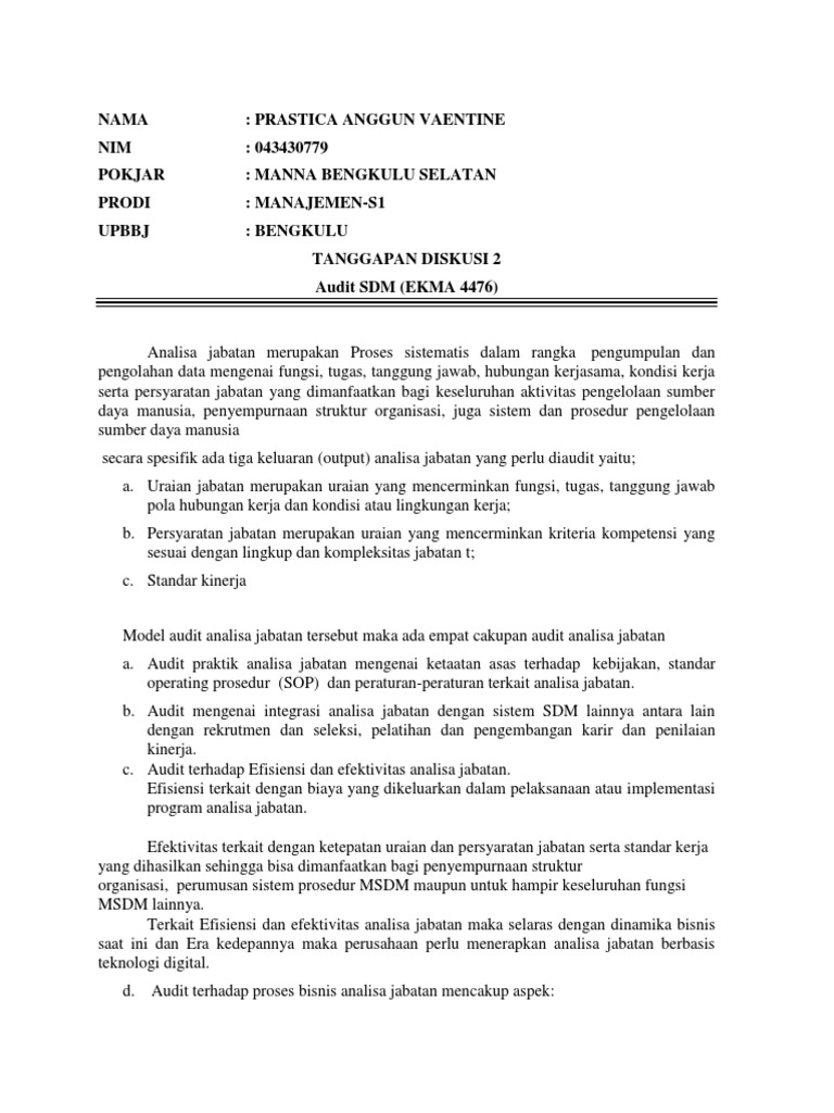 Diskusi 2 Audit SDM | PDF
