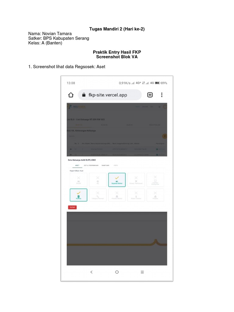 Mengumpulkan Bukti Praktik Entry Data Regsosek dan Keluarga Baru | PDF