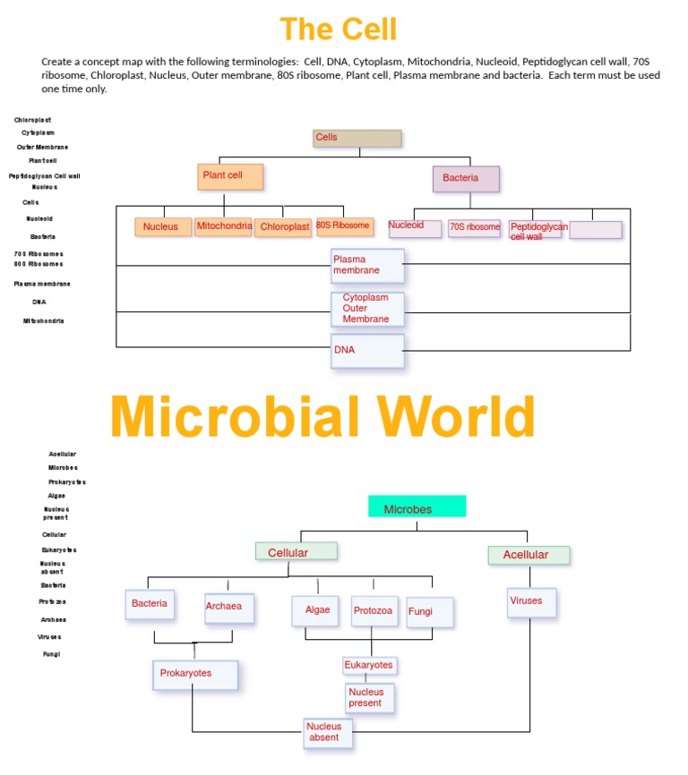 Concept Map of Cell Structures | PDF
