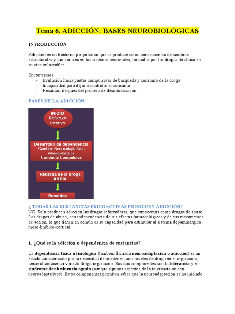 Las bases neurobiológicas de la adicción: la tolerancia, la dependencia física y el síndrome de ...
