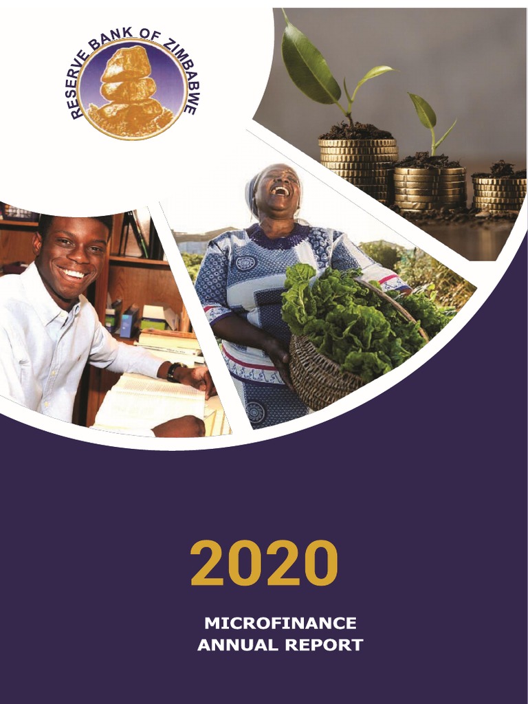 2020 Microfinance Annual Report | PDF | Microfinance | Price Of Oil