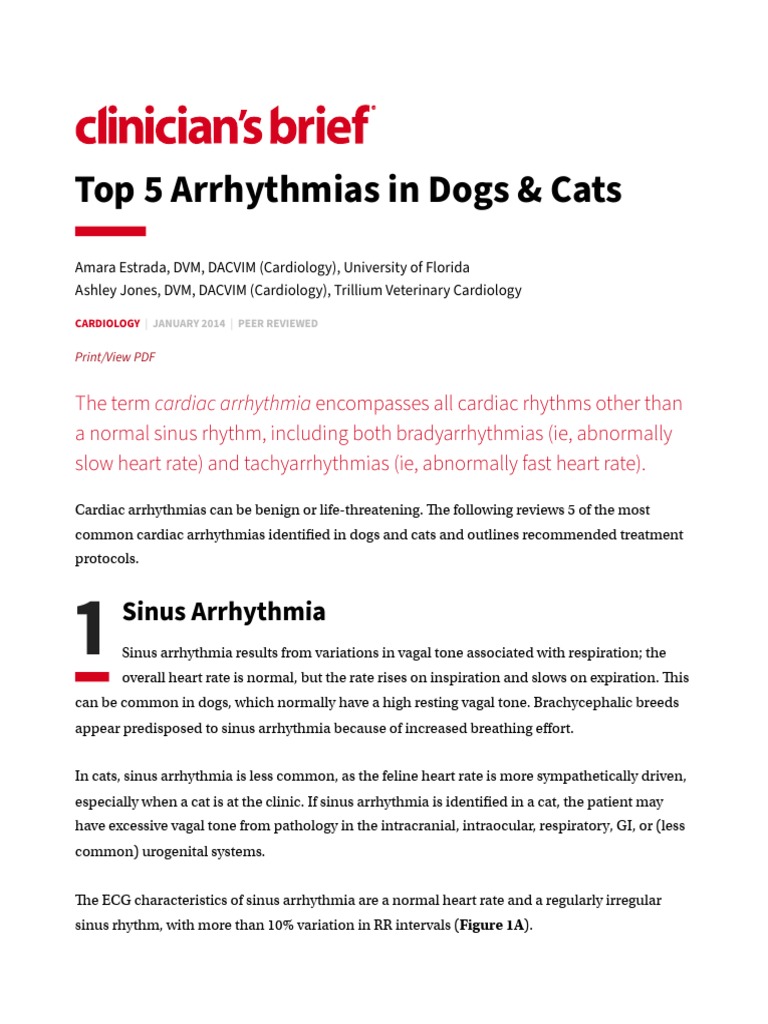 Common Canine Cardiac Arrhythmias | PDF | Electrocardiography | Heart