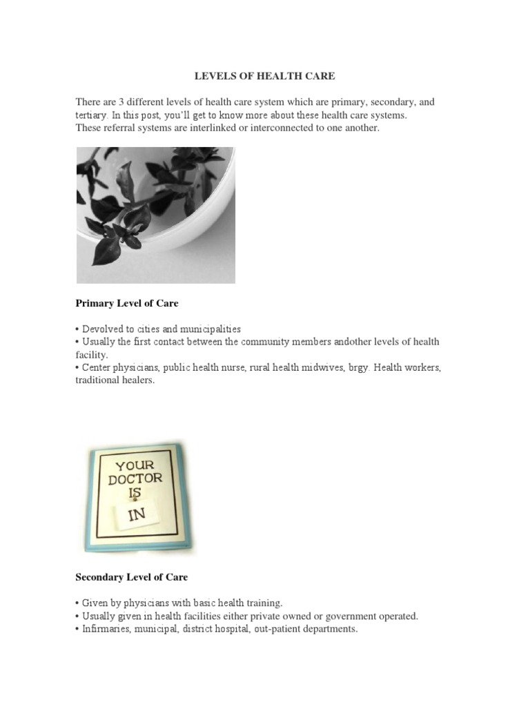Overview of Health Care Levels | PDF