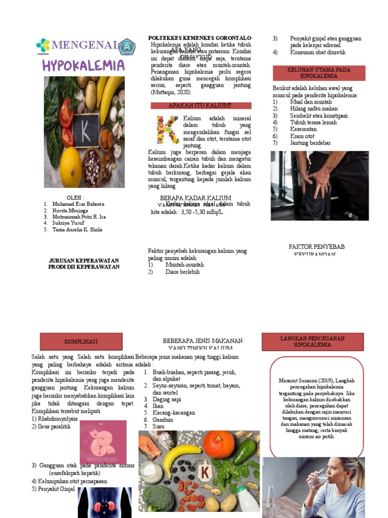 Leaflet Hipokalemia Fixx | PDF