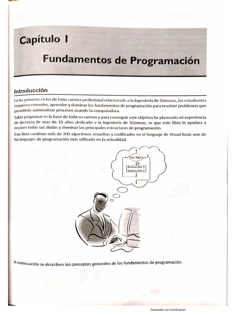 Capitulo I. fundamentos de programación | PDF