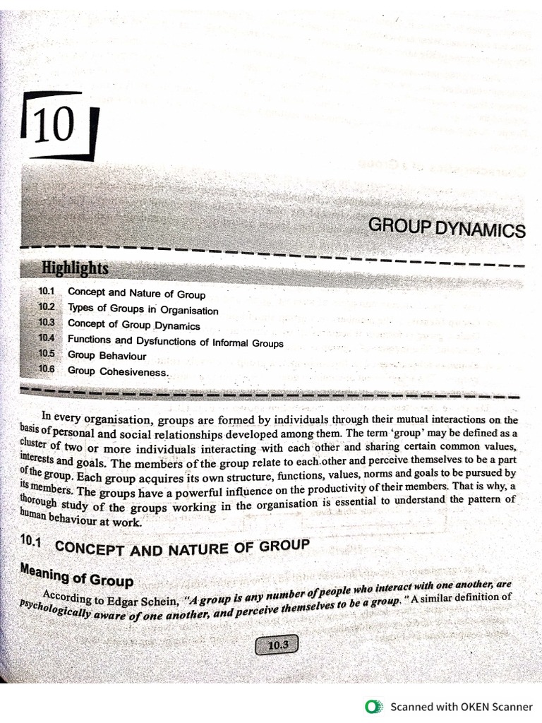 Group Dynamics | PDF