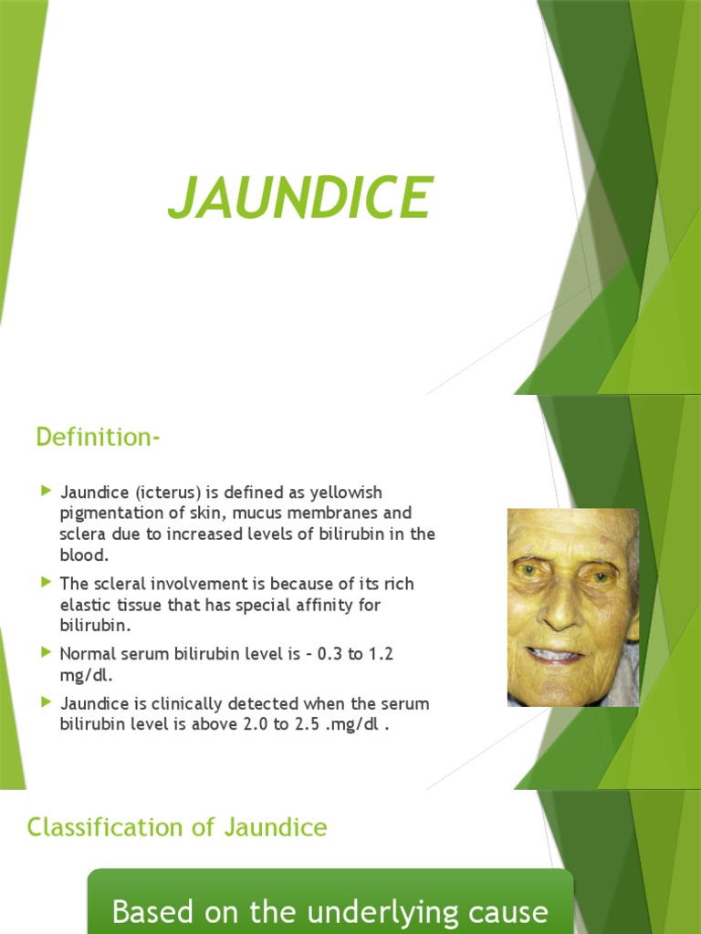 Jaundice | PDF | Liver | Gastroenterology
