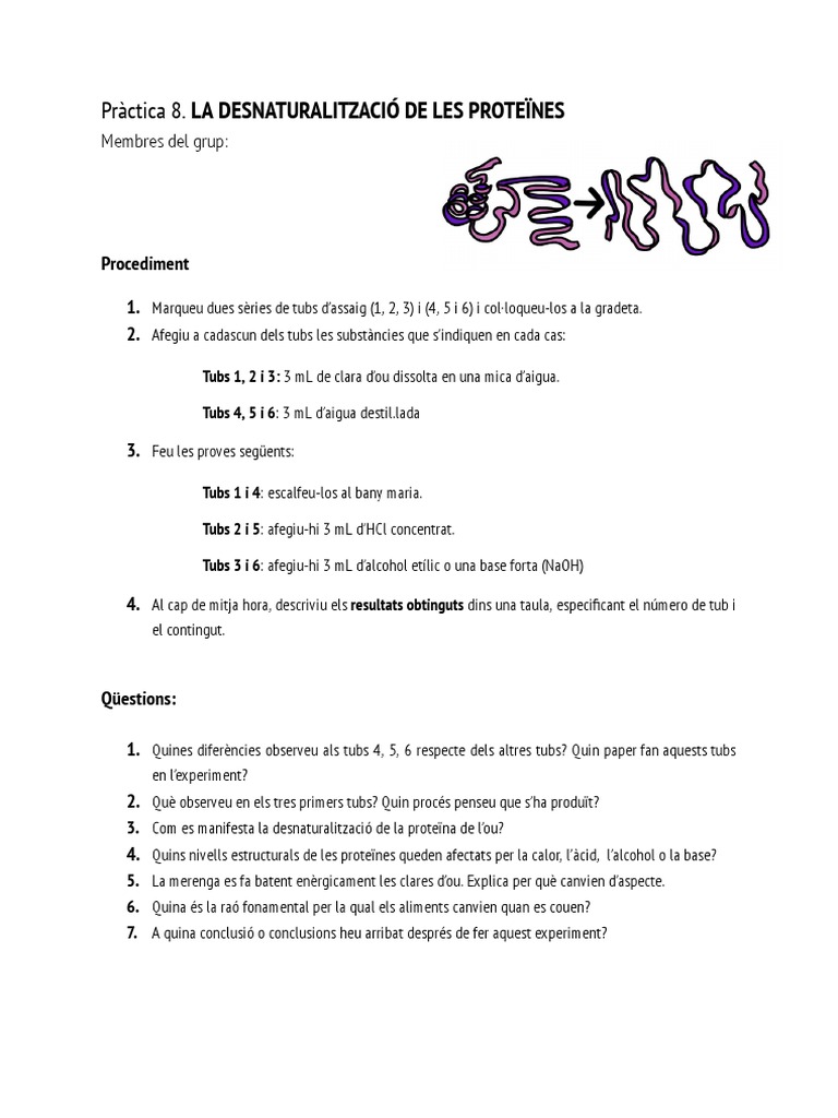 Pràctica 8. DESNATURALITZACIÓ DE PROTEÏNES - Documents de Google | PDF