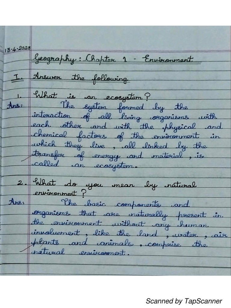 Class 7 - Social CW | PDF