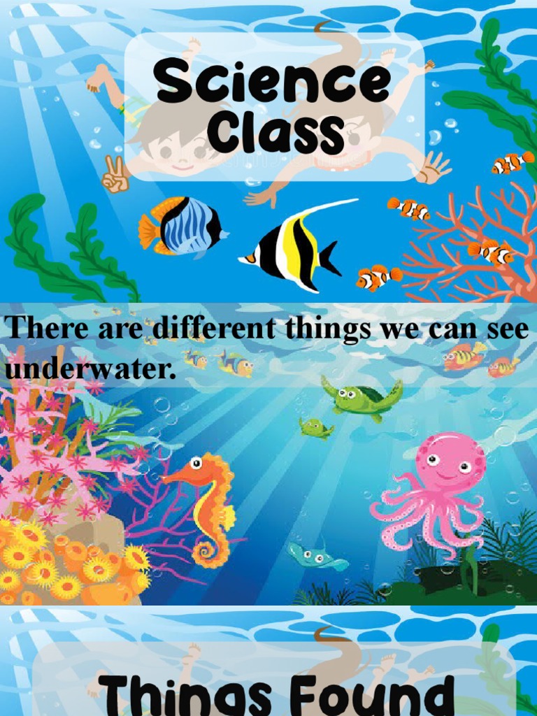 Things Found Under The Water | PDF