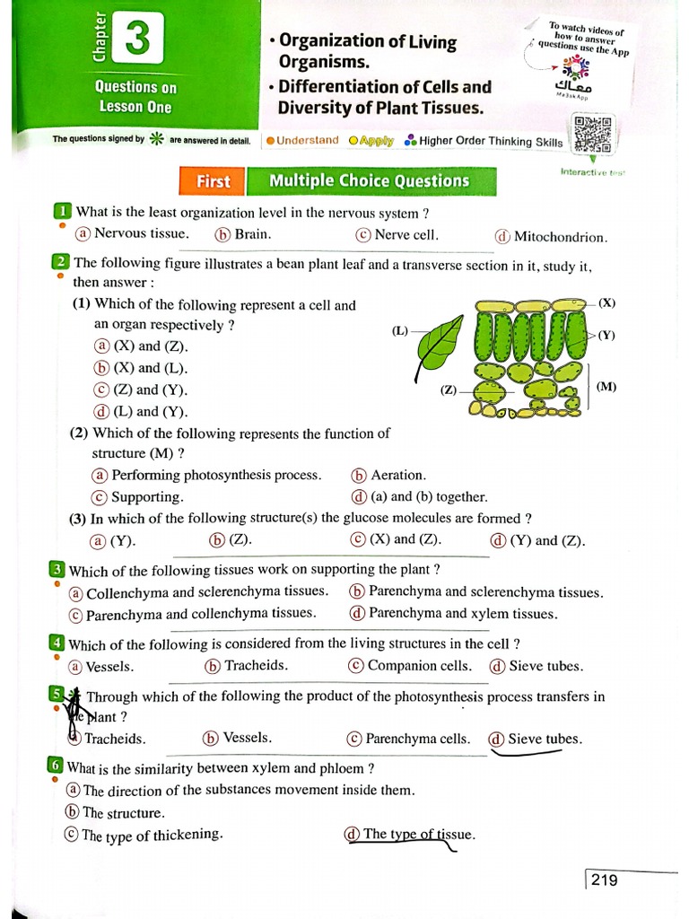 Getting Over You | PDF