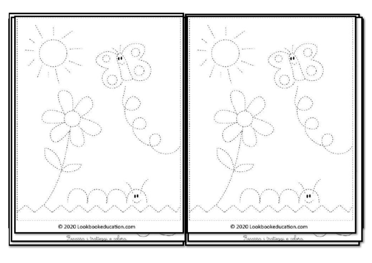 Grafisme Fluture | PDF