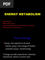 Energy Content Calculation in Foods | PDF | Food Energy | Calorie