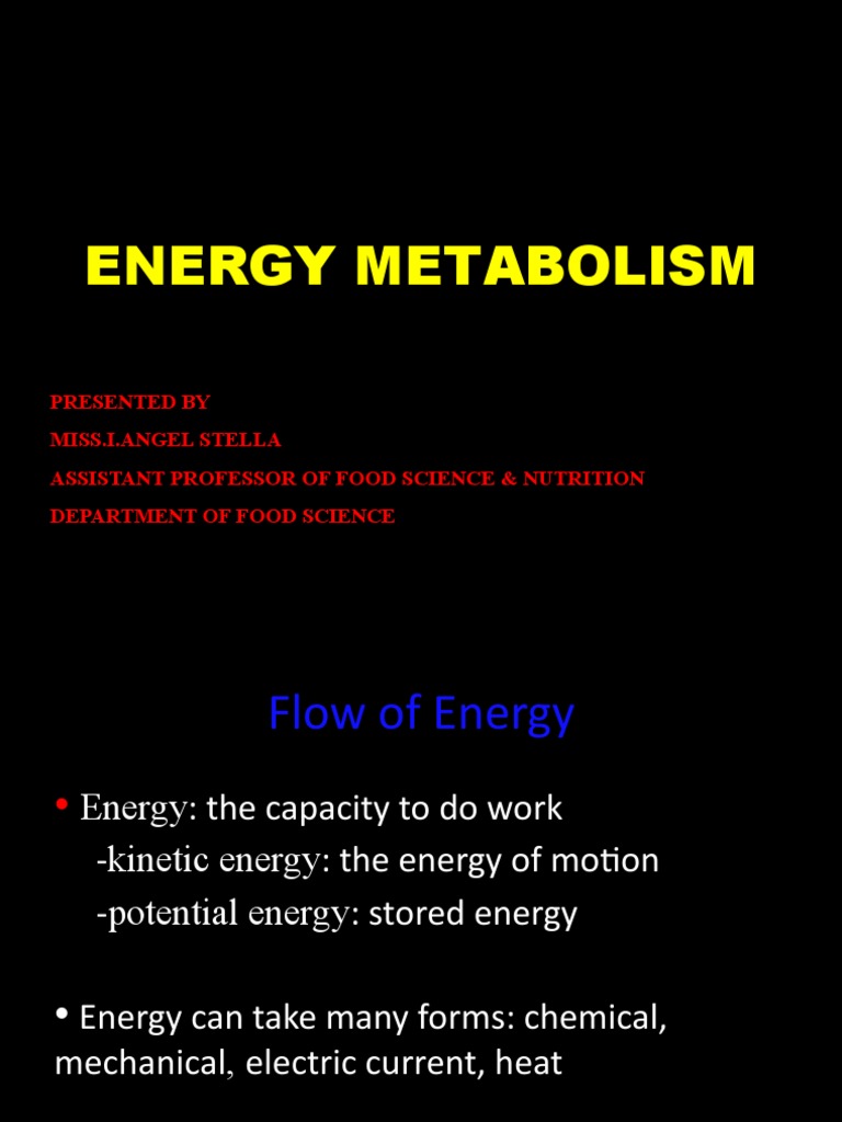 Energy Metabolism and Requirements | PDF | Food Energy | Calorie