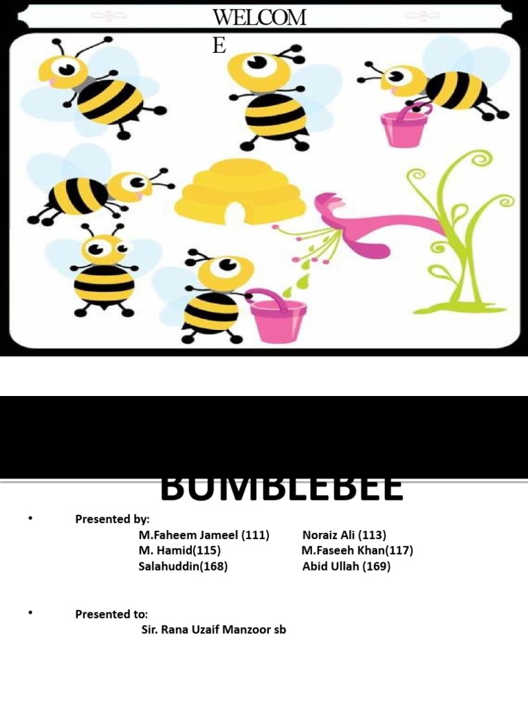 Bumblebee Presentation Final | PDF