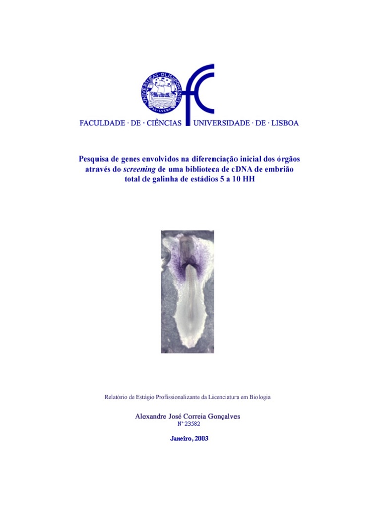 Licenciatura Thesis 2003 - Pesquisa de Genes Envolvidos Na ...