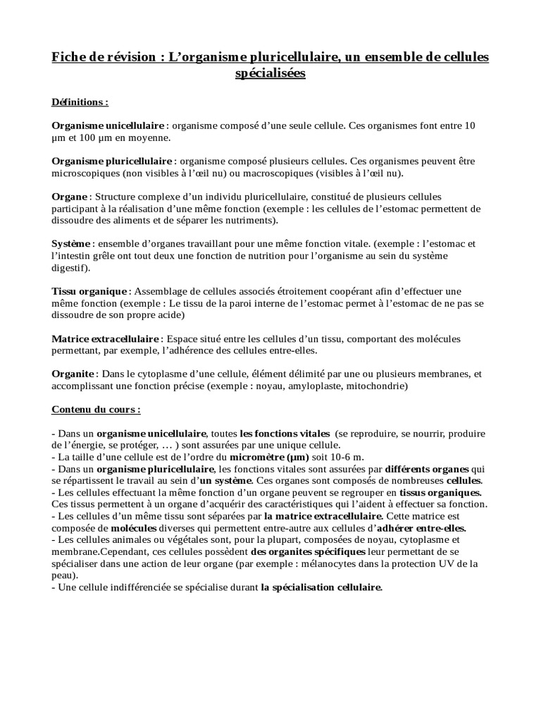 Organismes Pluricellulaires et Cellules | PDF | Cellule (Biologie ...