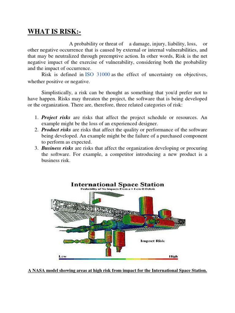 Risk Management Report | PDF | Risk Management | Risk