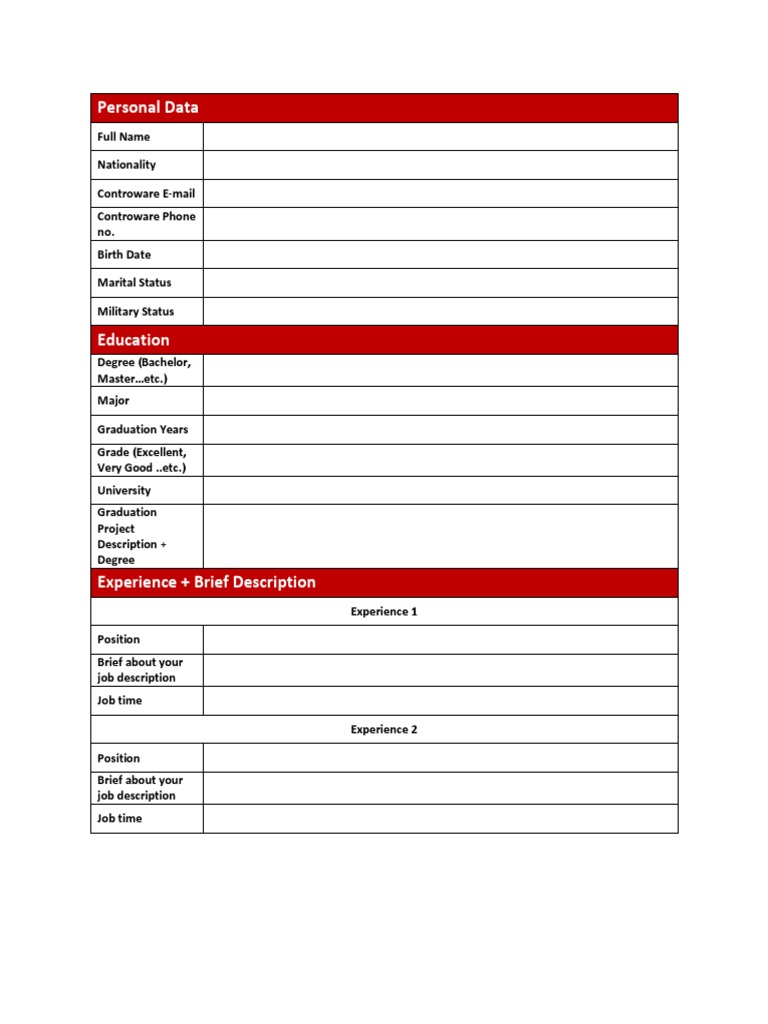 CV Template | PDF
