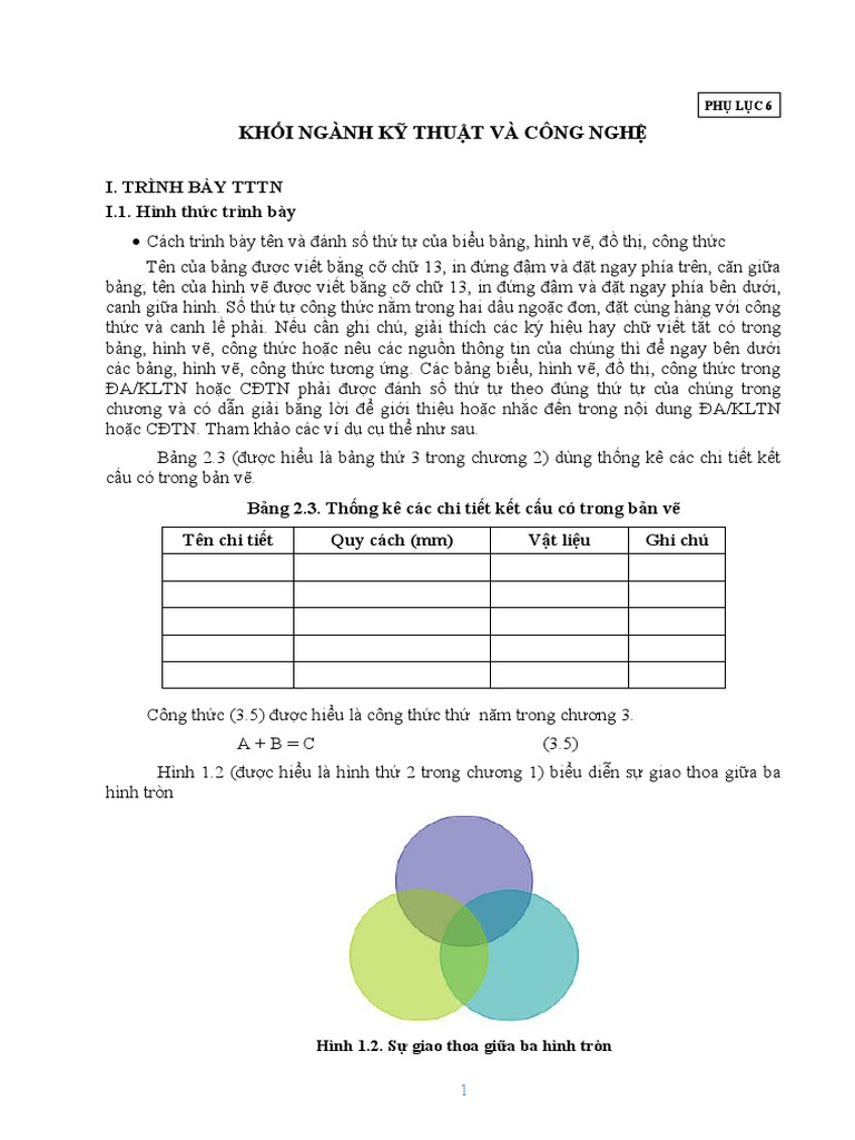 6 - Mau Bao Cao Hoan Thanh Thuc Tap | PDF