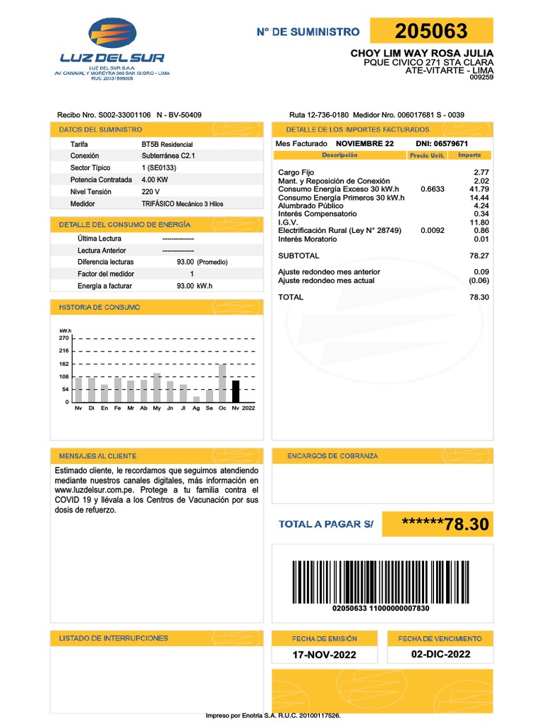 Choy Lim Way Rosa Julia | PDF | Energia electrica | Electricidad