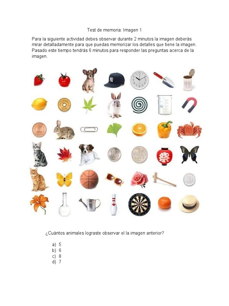 Test de Memoria Visual para Niños | PDF