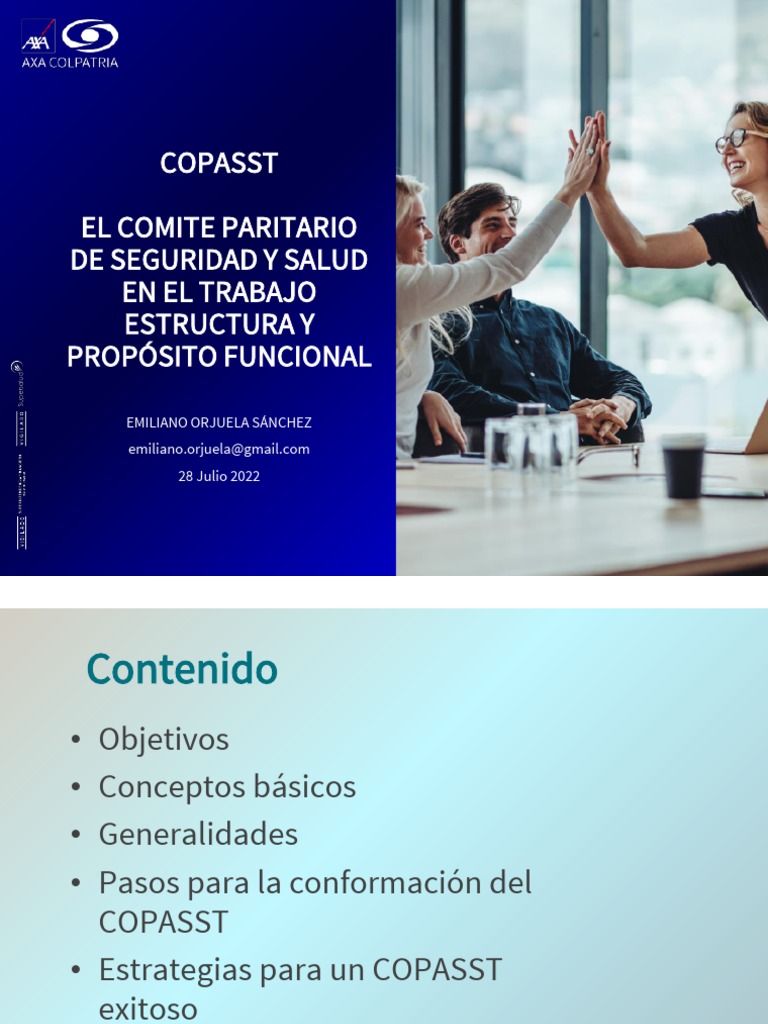 Copasst Estructura y Propósito Funcional | PDF | Seguridad y salud ...
