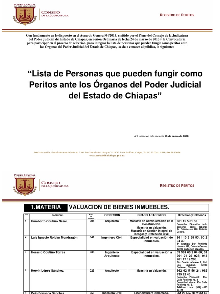 Lista de Personas Que Pueden Fungir Como Peritos Ante Los Órganos Del ...