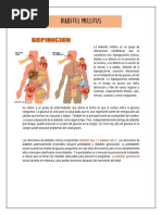 Inserto Esfinto Plus | PDF | Medicina CLINICA | Especialidades Medicas