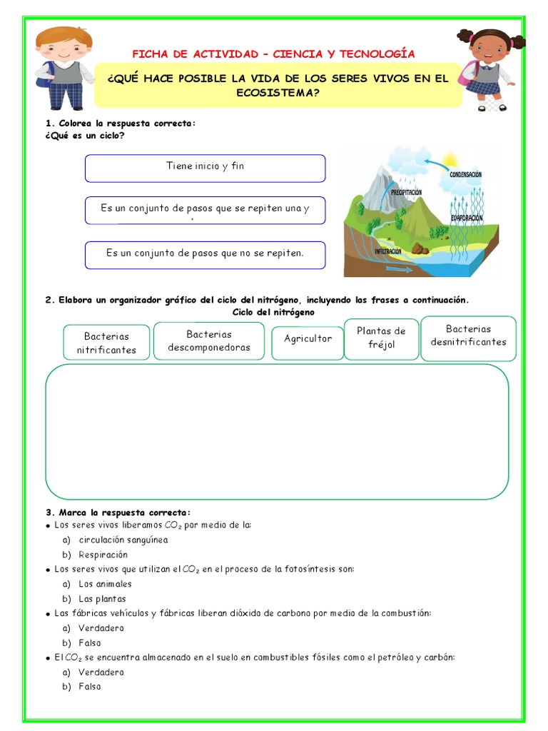 Ficha-02-05-Cyt - Qué Hace Posible La Vida de Los Seres Vivos en El Ecosistema | PDF | Dióxido ...
