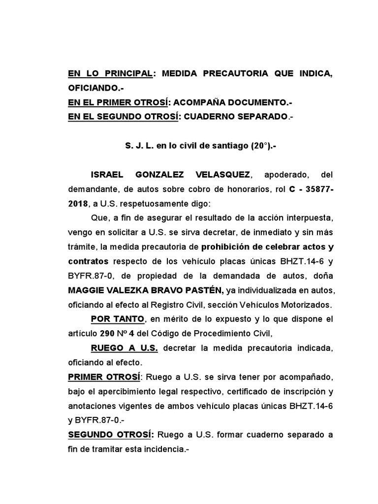 Solicitud de Medida Precautoria | PDF