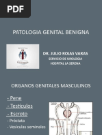 Inserto Esfinto Plus | PDF | Medicina CLINICA | Especialidades Medicas