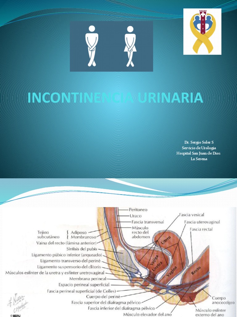 INCONTINENCIA | PDF | Vejiga urinaria | Sistema genitourinario