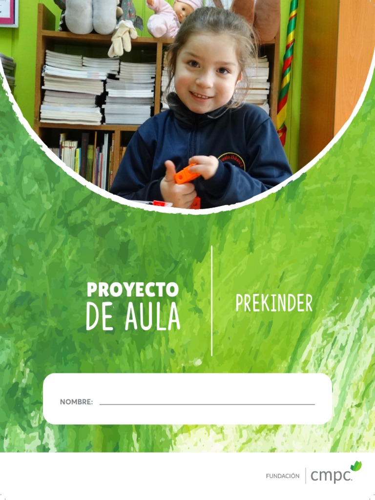 Proyecto de Aula NT1 | PDF | Educación de la primera infancia | Aprendizaje