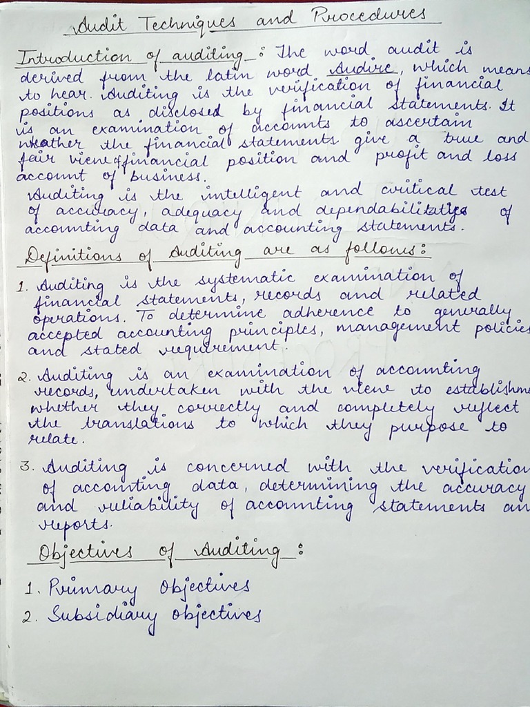 Aniket Audit Notes | PDF